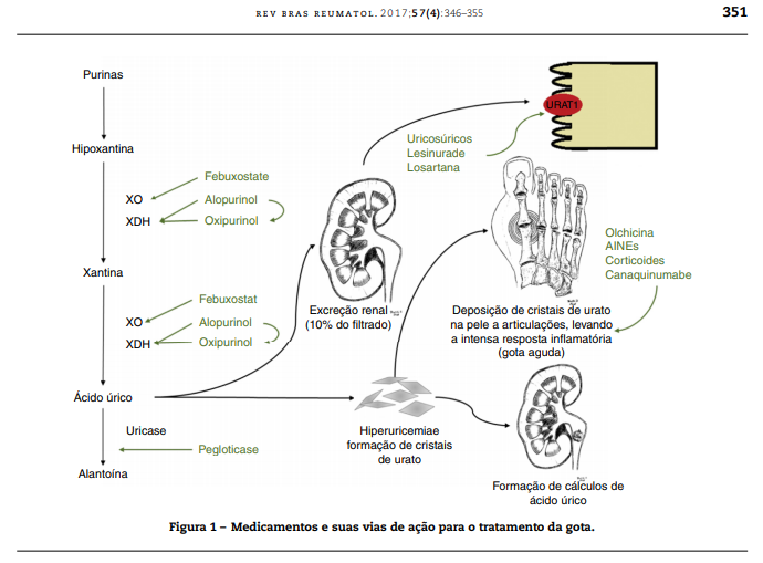 Qual é o tratamento para pacientes com gota?